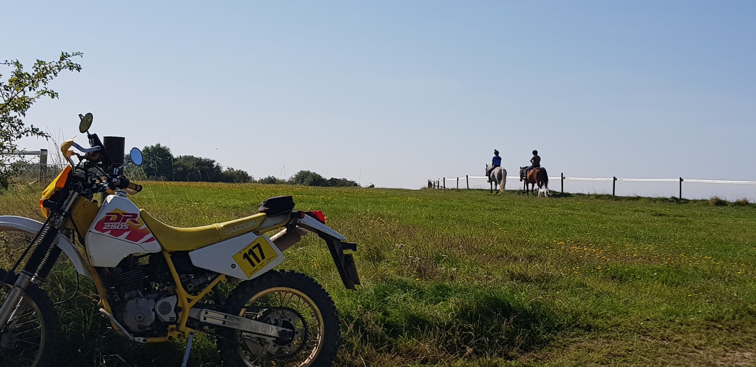 Motorcycle Trail Riding Resources From The TRF | TRF