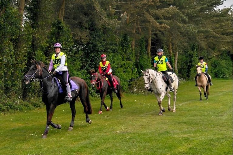 TRF & Horse Events – Trail Riders Fellowship